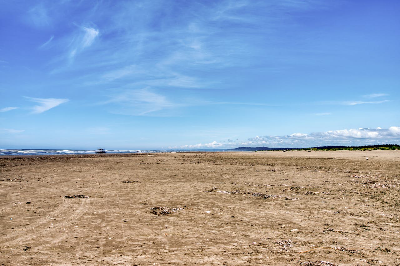 Rocks Cabin | 1 BD Vacation Rental in Copalis Beach, WA | Vacasa