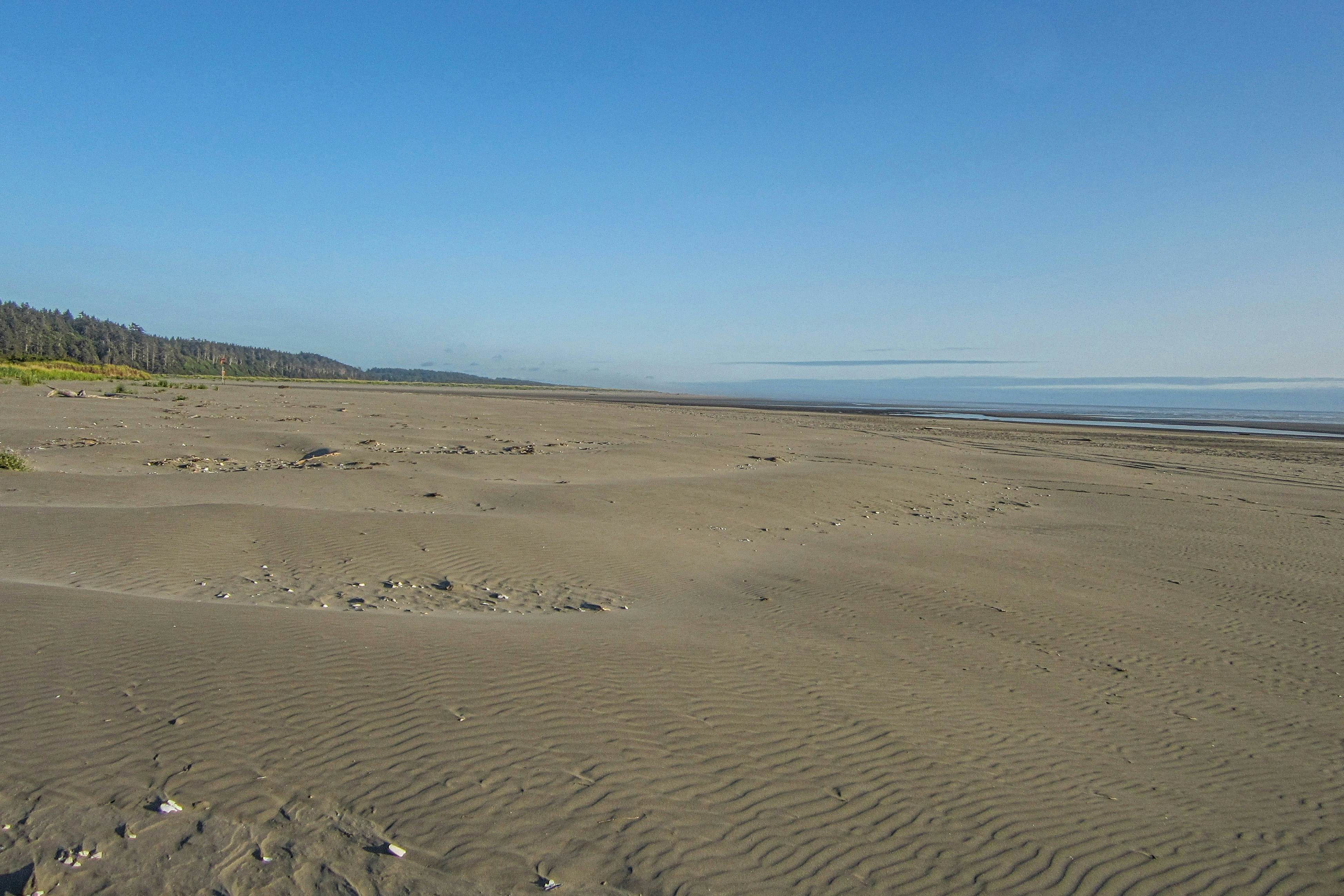 Rocks Cabin | 1 BD Copalis Beach, WA Vacation Rental | Vacasa