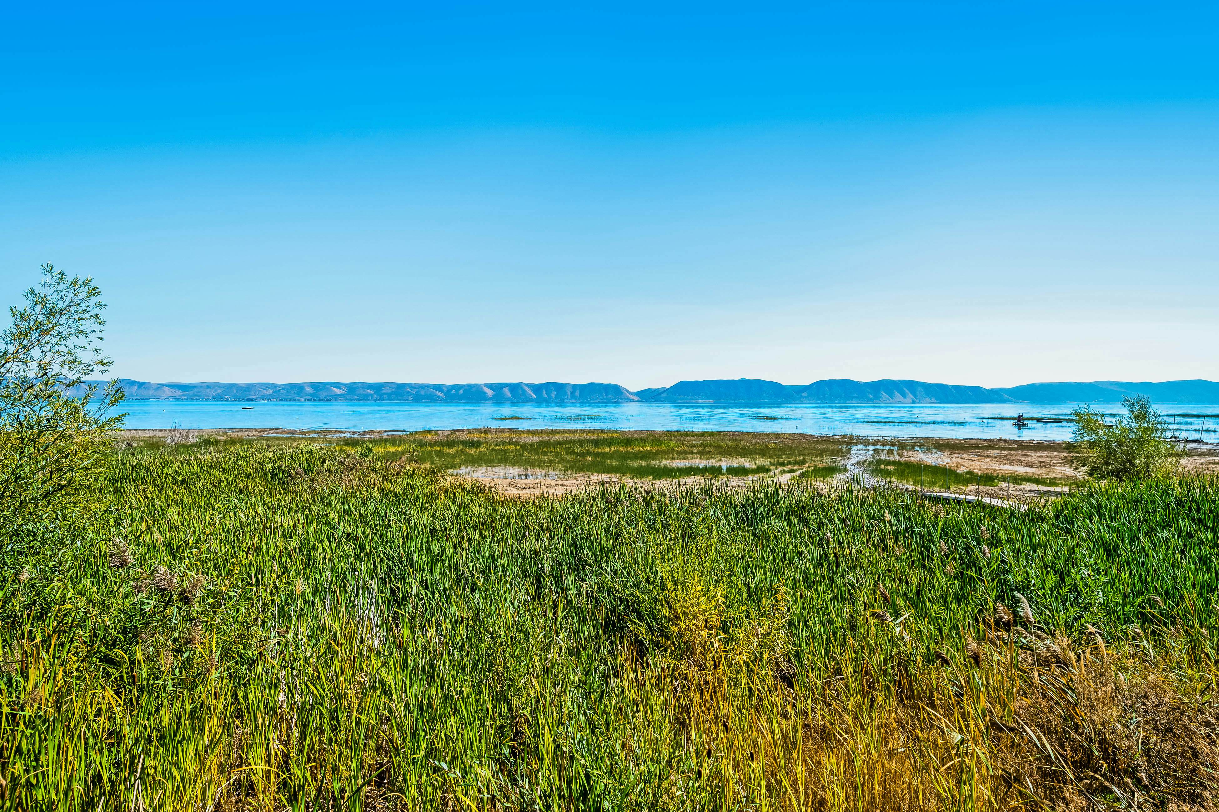 On the Waterfront | 3 BD Fish Haven, ID Vacation Rental | Vacasa