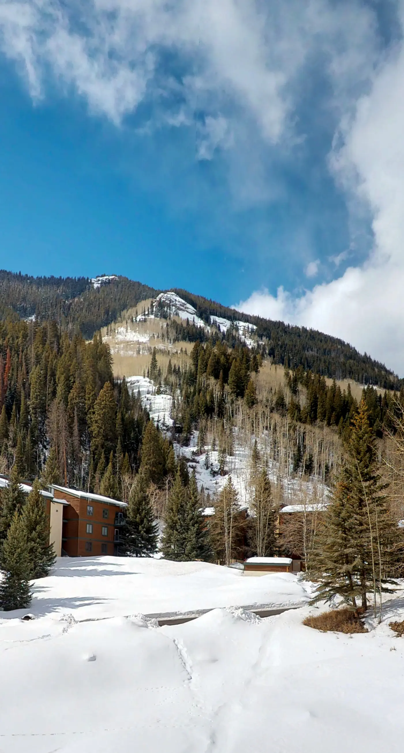 Timber Falls #1903 | 3 BD Vail, CO Vacation Rental | Vacasa