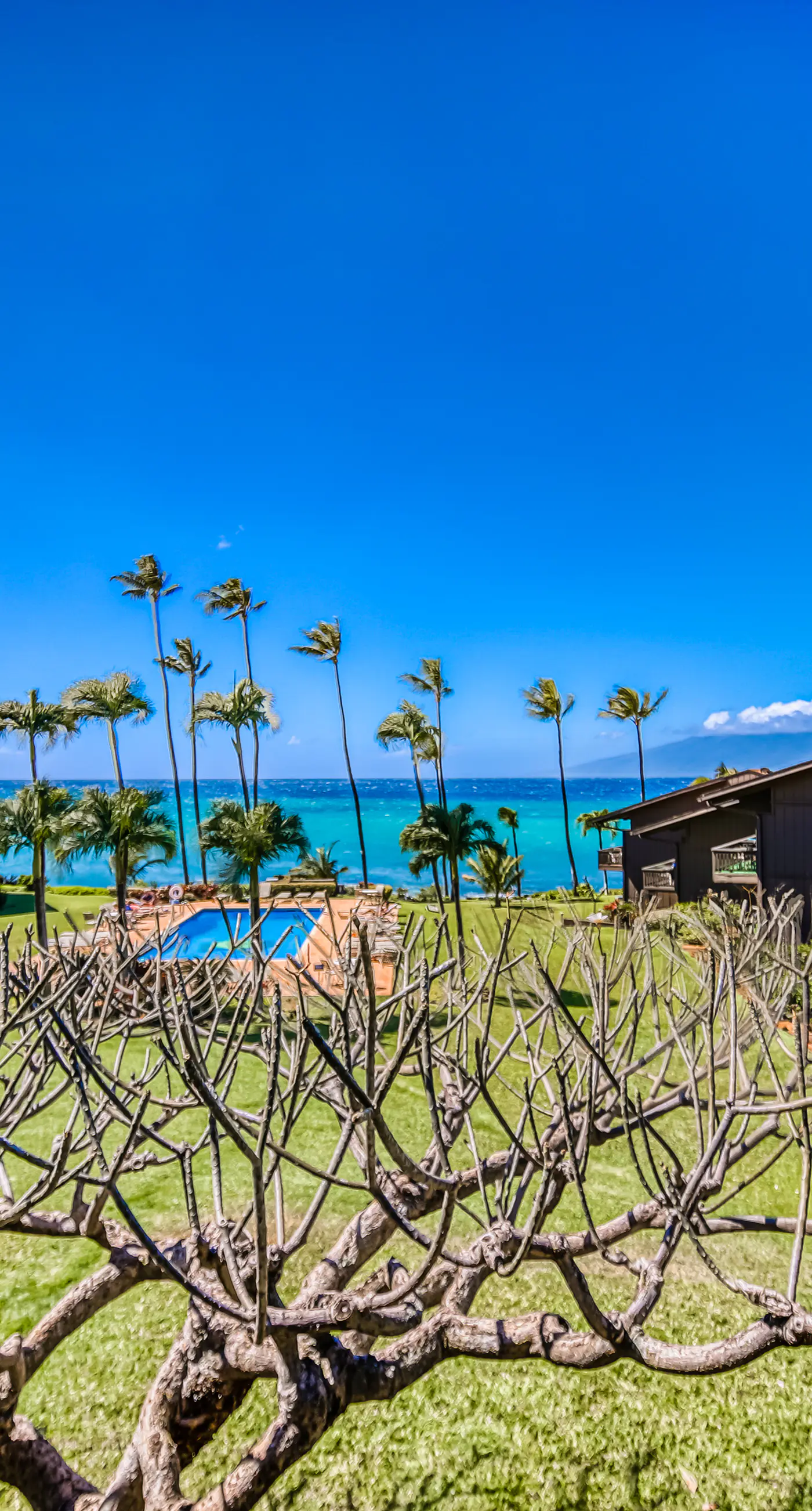 Mahina Surf 127 | 1 BD Lahaina, HI Vacation Rental | Vacasa