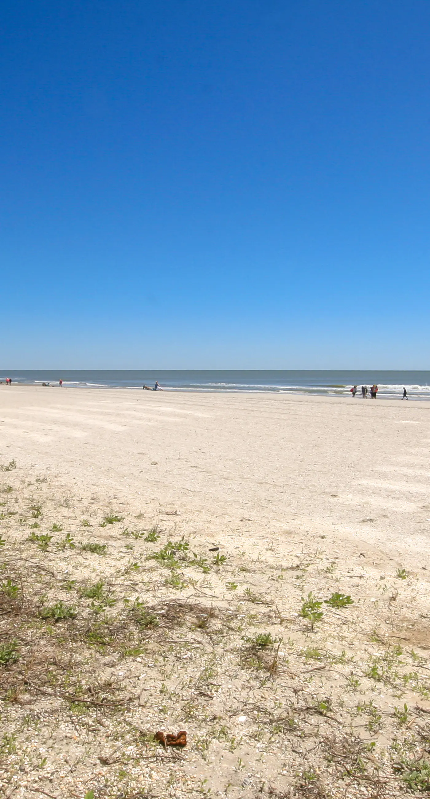 Sands Beach Club 1015 | 2 BD Myrtle Beach, SC Vacation Rental | Vacasa