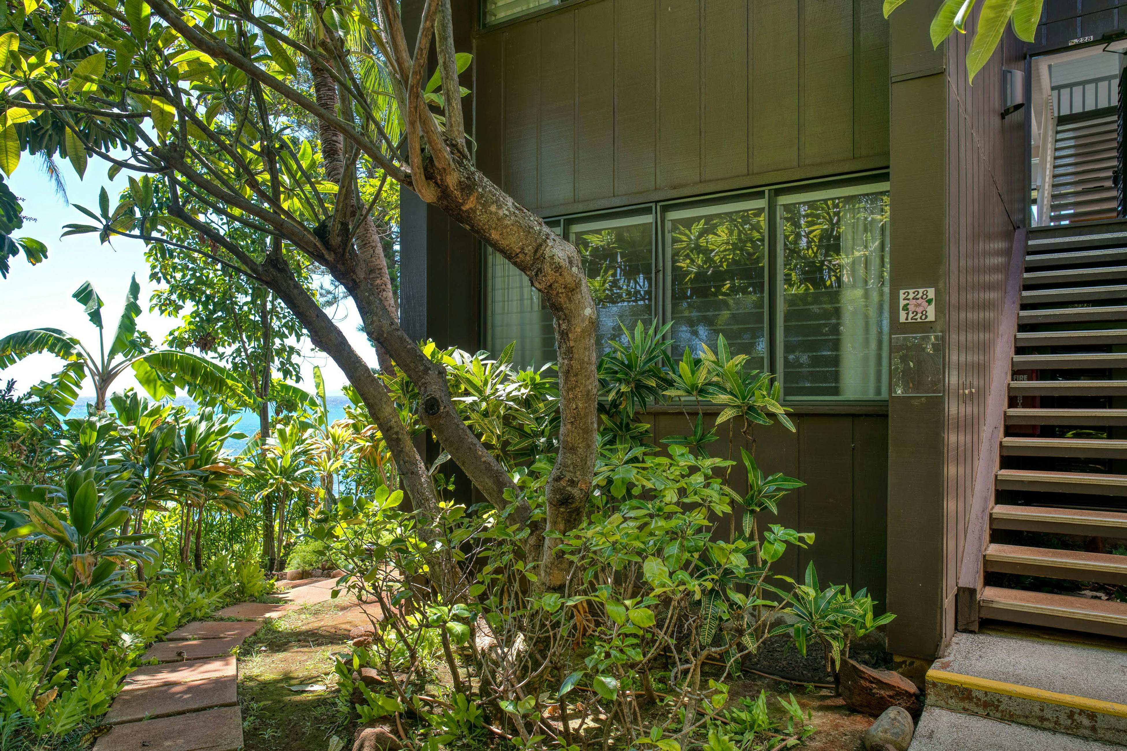 Mahina Surf 228 | 2 BD Lahaina, HI Vacation Rental | Vacasa