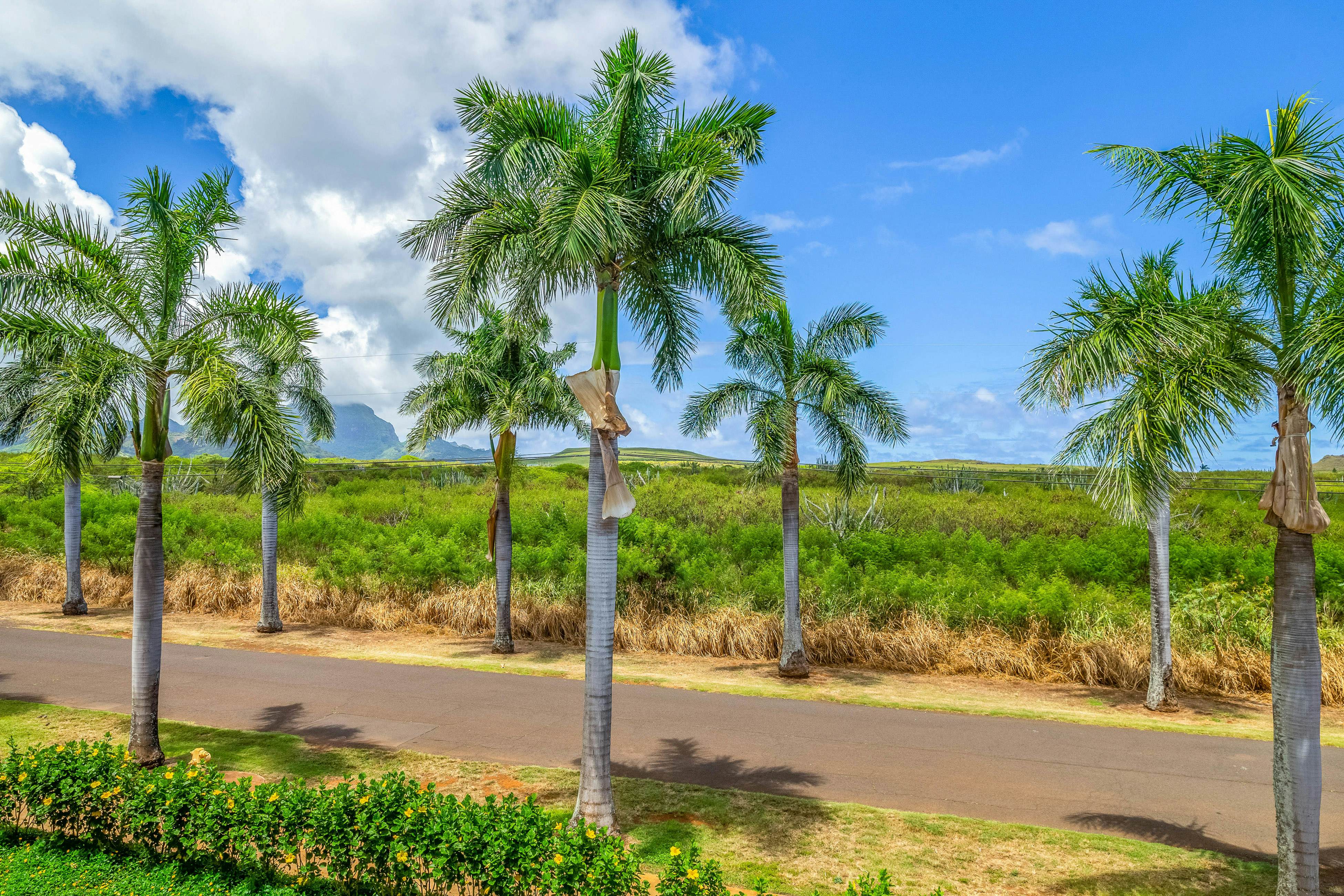 Pili Mai Resort Condo Rentals, Vacation Rentals | Vacasa