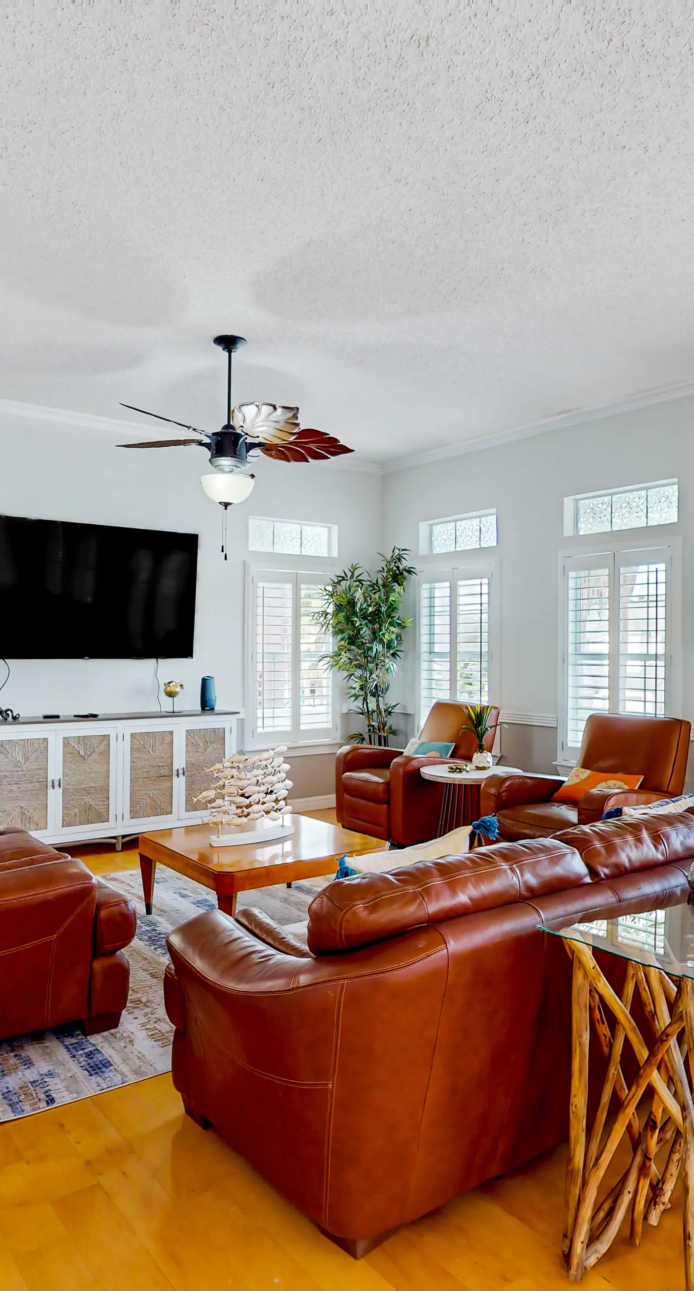 South Padre Island Vacation Rentals, Condos, Beach House Rentals | Vacasa