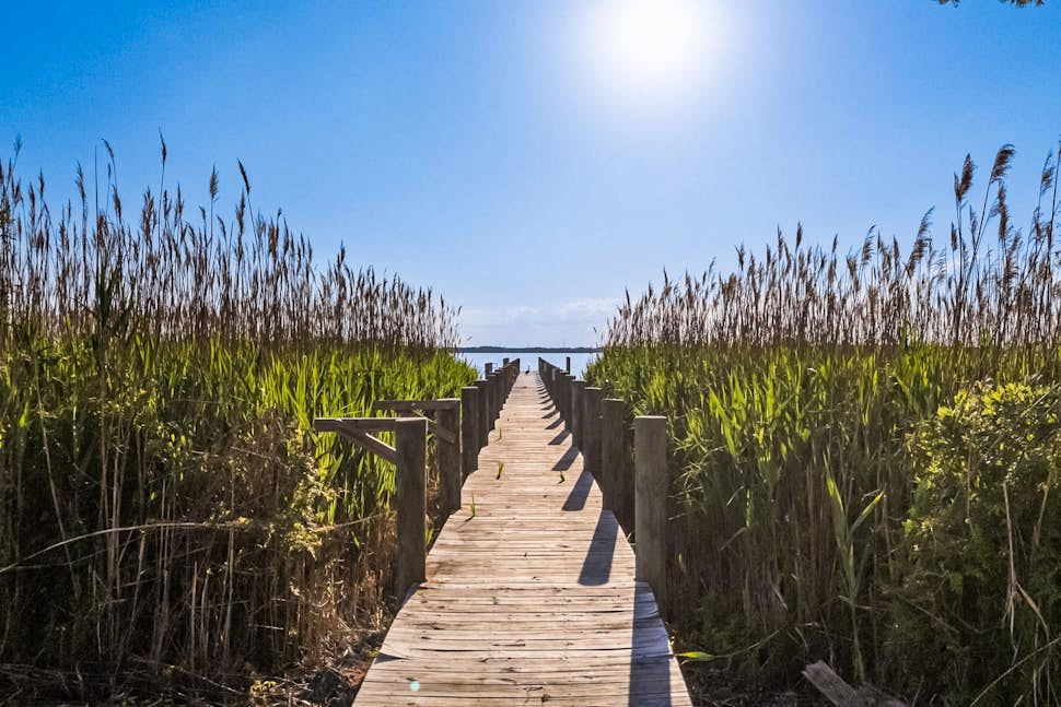 Magnolia Sound KH142 | 4 Bed Kitty Hawk, NC House | Vacasa